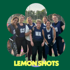 League-details - Bloom Netball